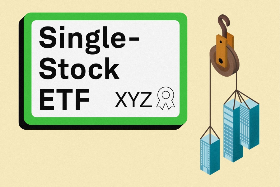 Mega-Cap Rollercoasters: Basics of Single-Stock ETFs | Charles Schwab
