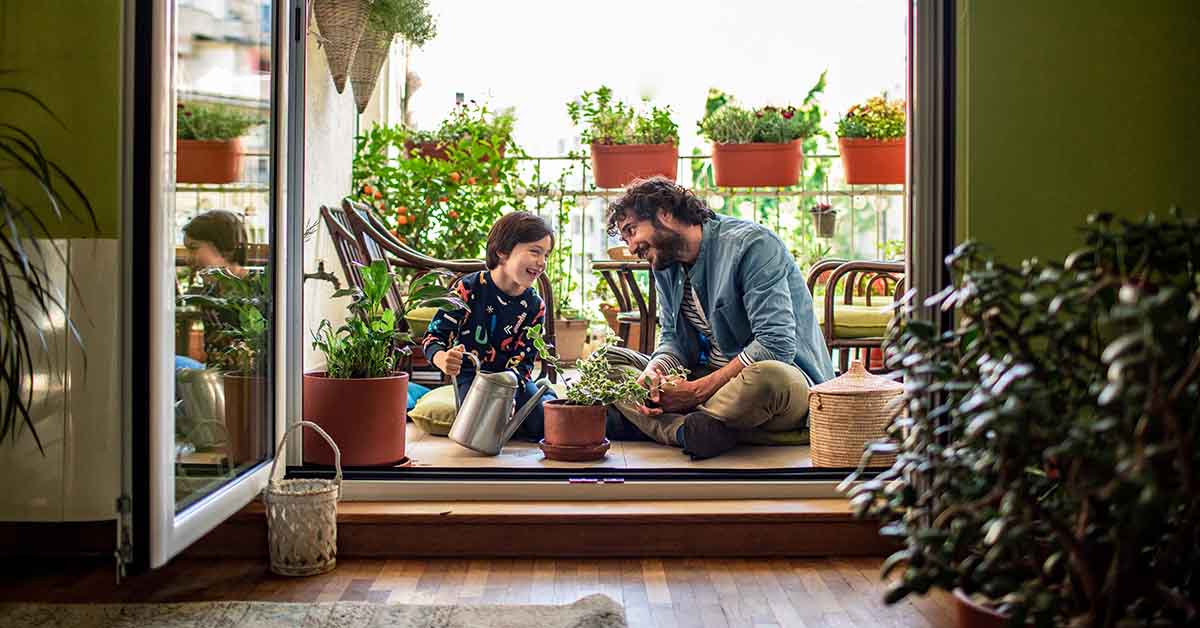 4 Things to Know About Roth IRA Contributions | Charles Schwab