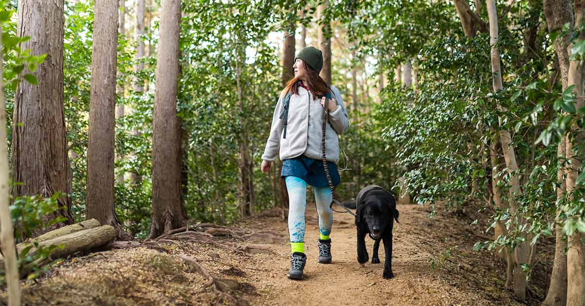 What Is an IRA? | Charles Schwab