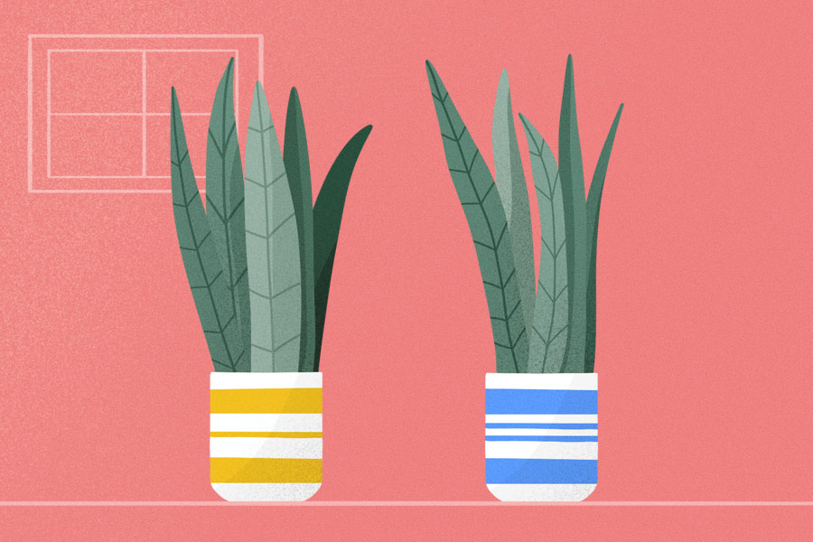 Roth 401(k) vs. Roth IRA | Charles Schwab