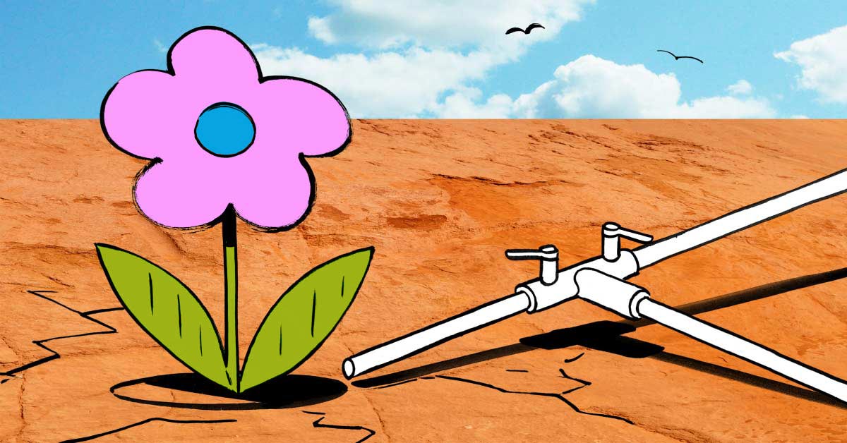 Using an IRA to Fund a Life Insurance Trust | Charles Schwab