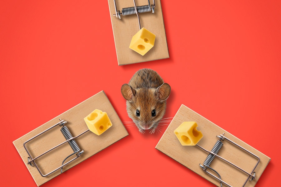 Technical Indicators: 3 Trading Traps to Avoid | Charles Schwab